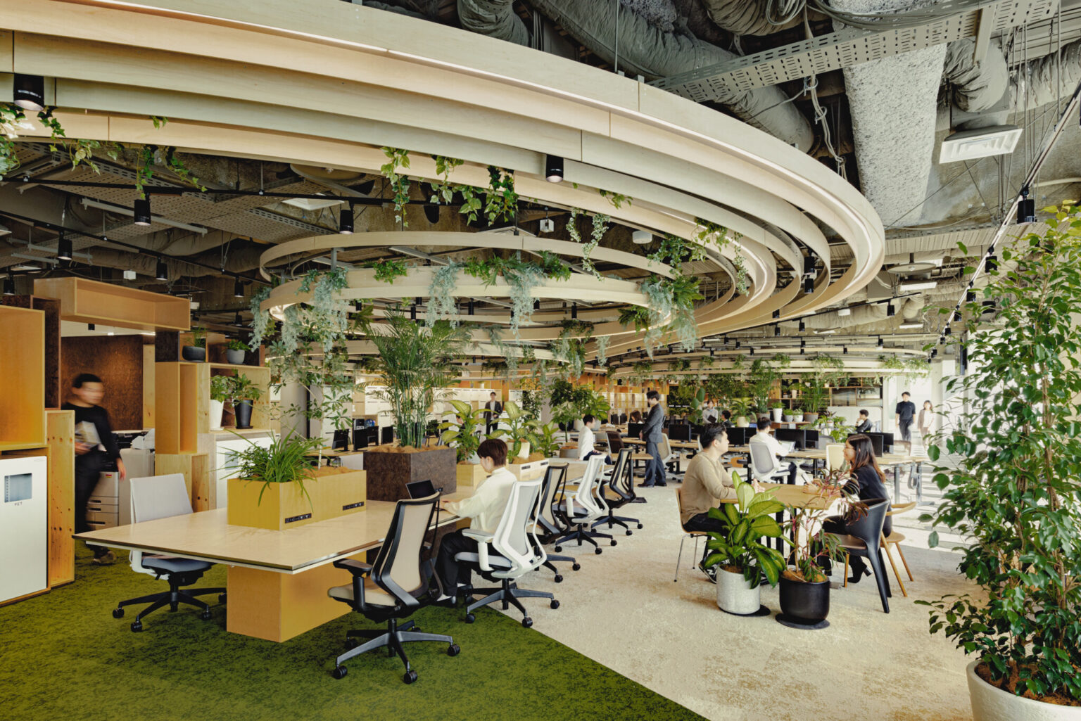 Audeum (audio museum) | Kengo Kuma and Associates